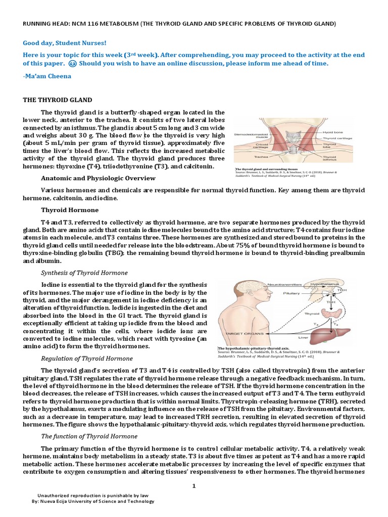 The Thyroid Gland And Disorders 02032021 1 Pdf Hyperthyroidism