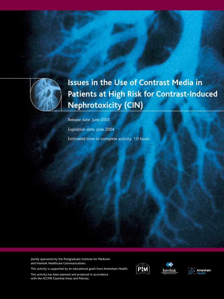 Issues in The Use of Contrast Media in Patients at High Risk For ...