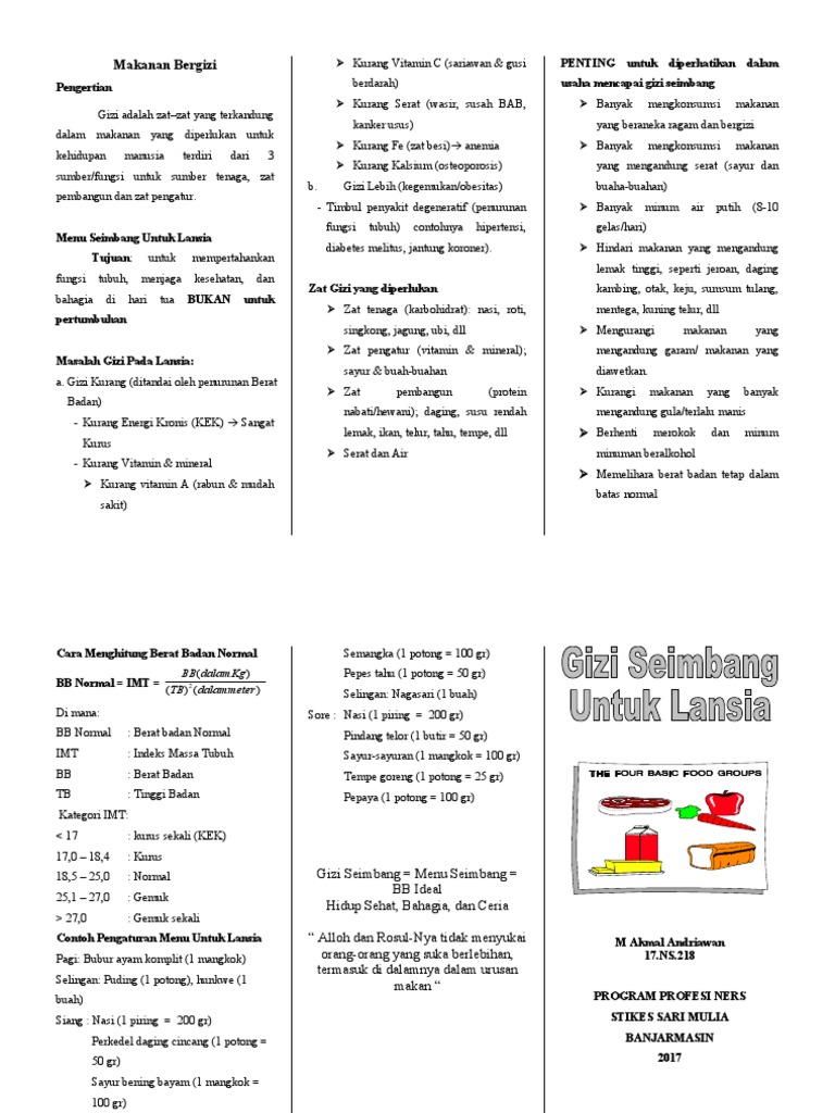 Menu Seimbang untuk Lansia Sehat | PDF