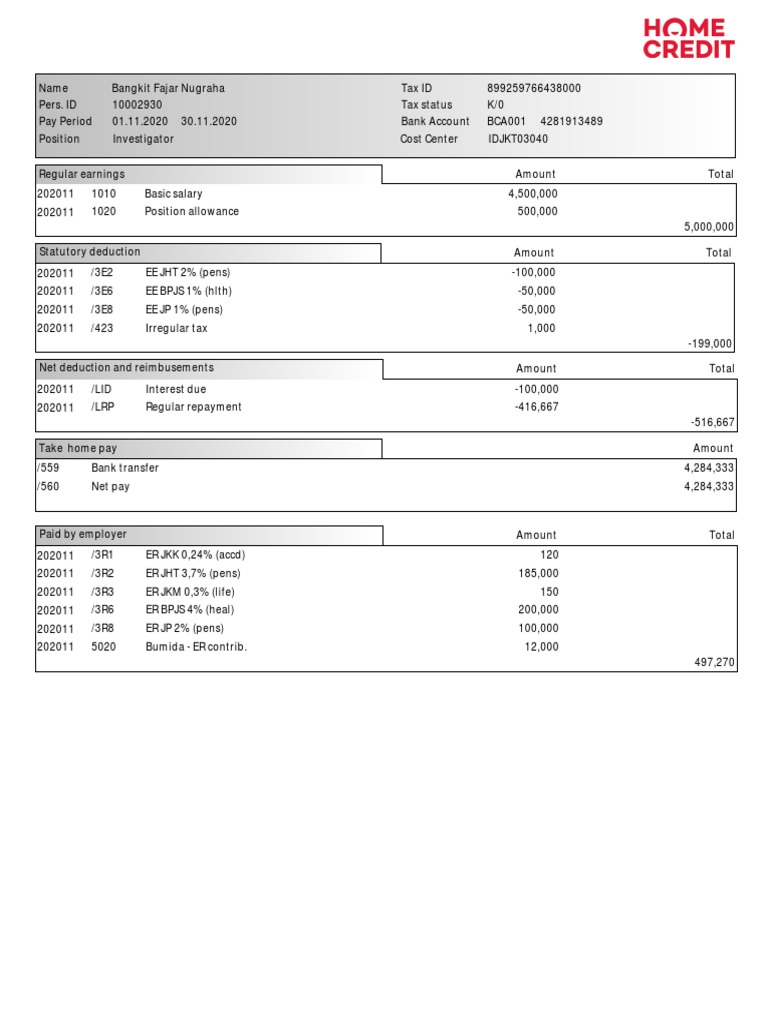 MyPayStub Summary for November 2020 | PDF