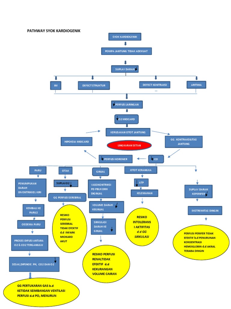 Pathway Syok Kardiogenik | PDF