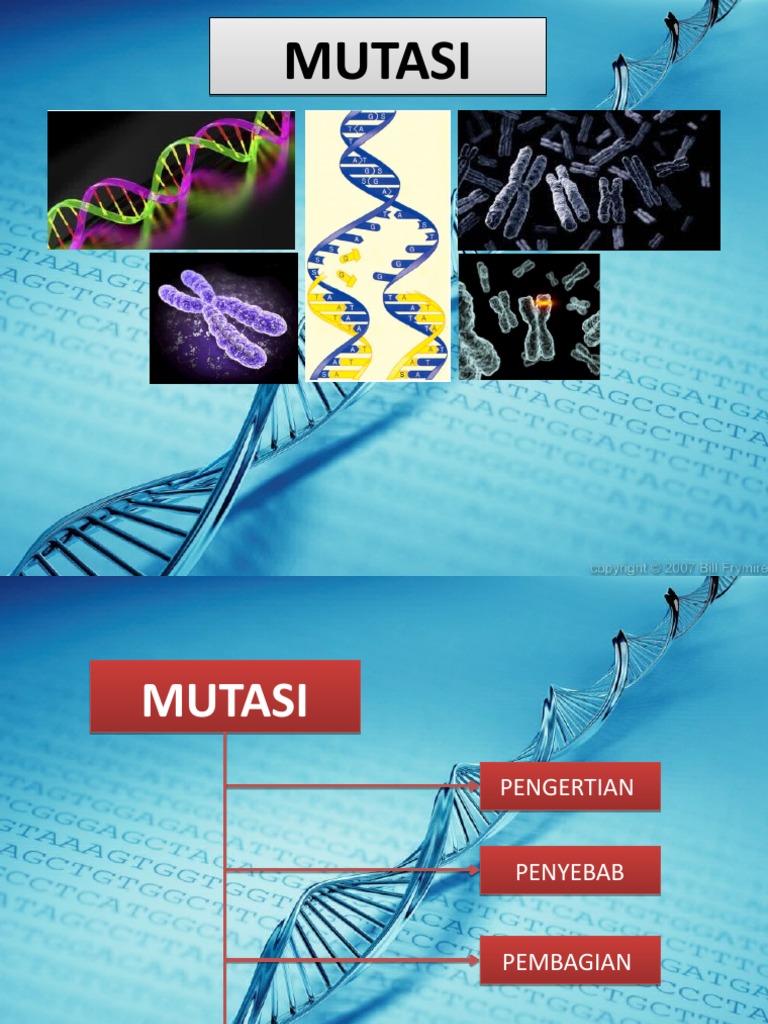 Materi MUTASI | PDF