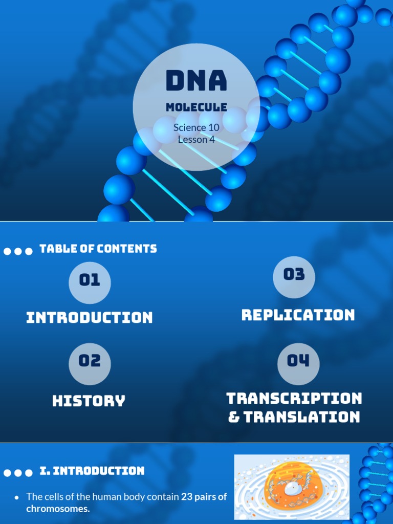DNA Molecule & Central Dogma | PDF | Dna Replication | Dna