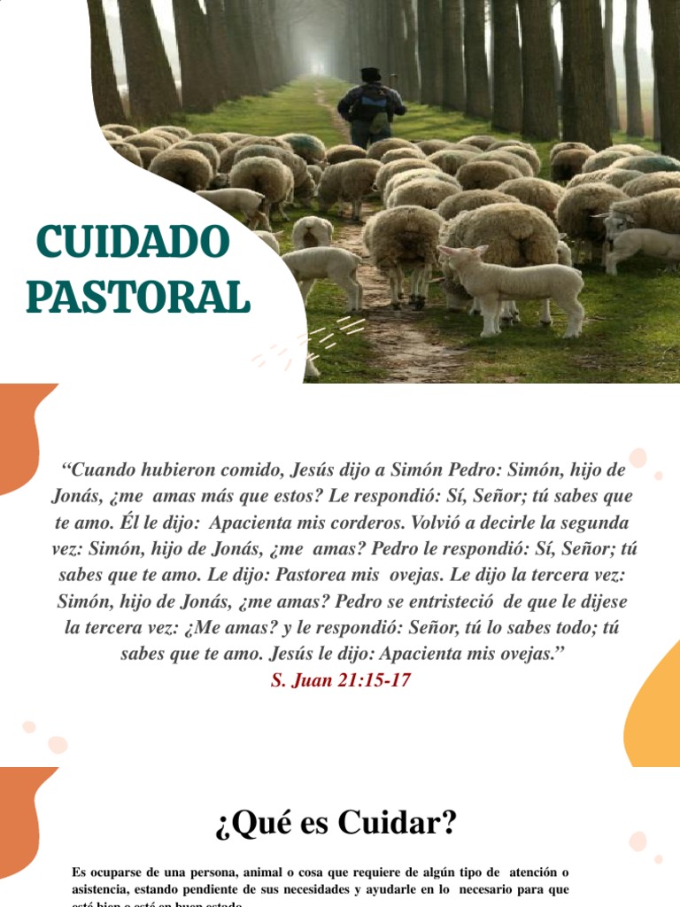 Cuidado Pastoral | PDF | Religión y creencia | Biblia