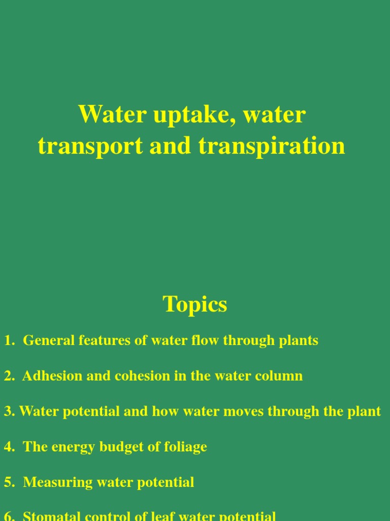 Week 4 - Water Uptake, Water Transport and Transpiration | PDF | Stoma ...