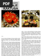 Ruze Topalovic Katalog | PDF