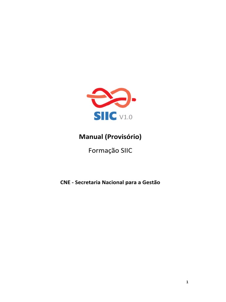 Manual SIIC | PDF | Tesouro | Orçamento