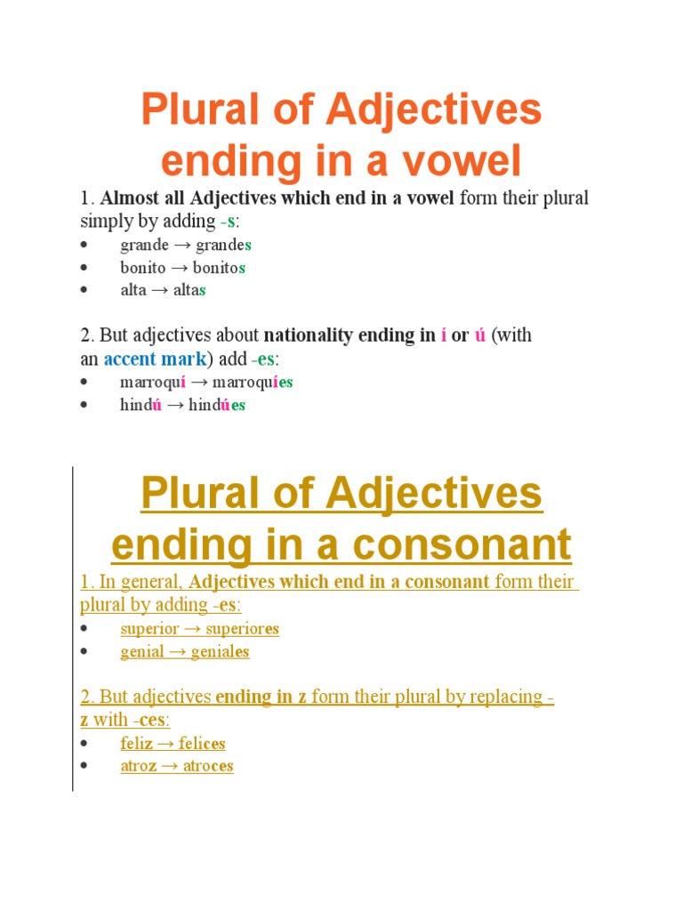 Plural of Adjectives Ending in A Vowel | PDF