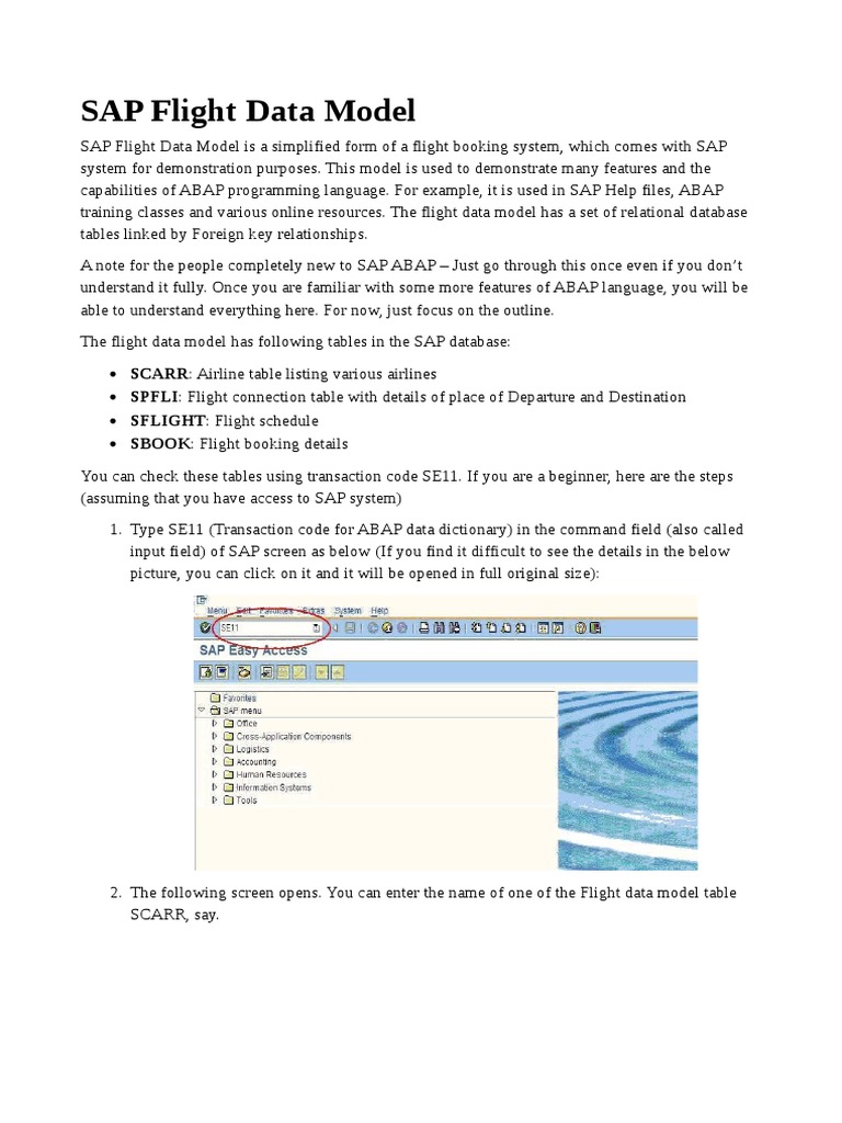 TP - SAP Flight Data Model | PDF | Computer Programming | Software ...