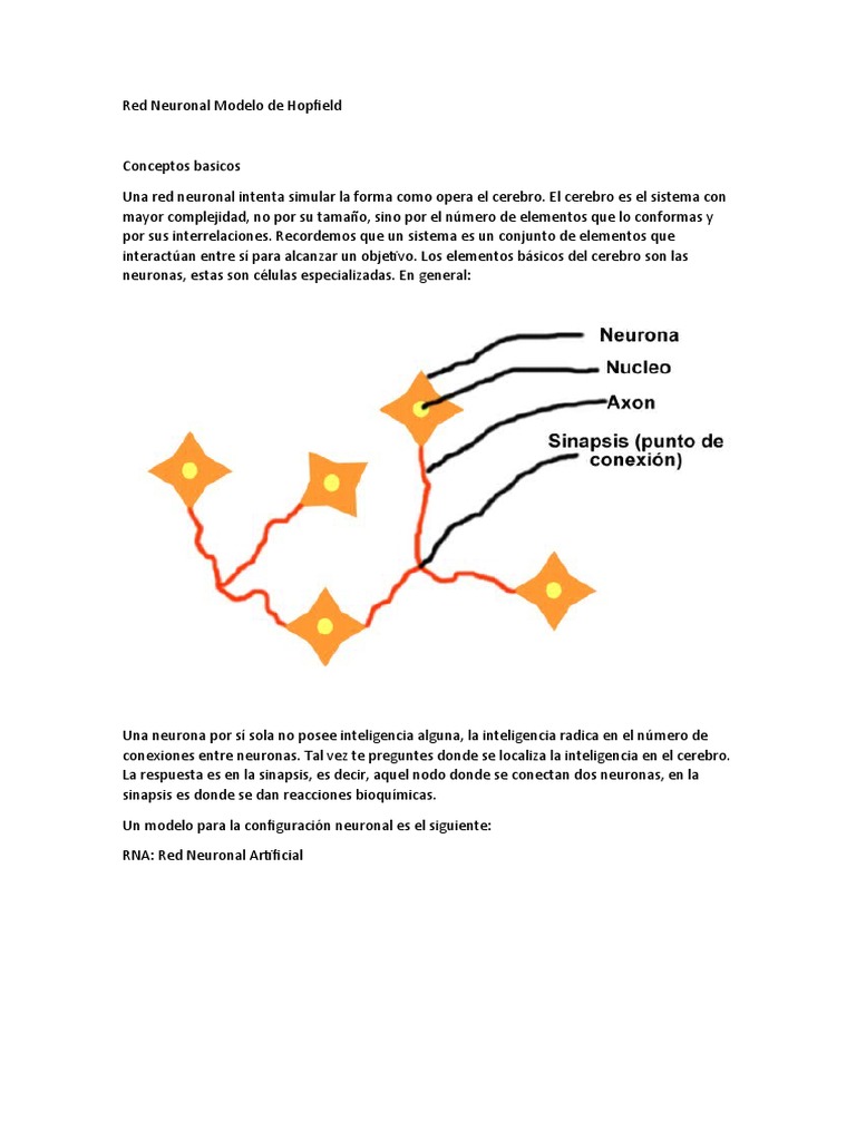 Red Neuronal Modelo de Hopfield | PDF | Neurona | Red neuronal artificial