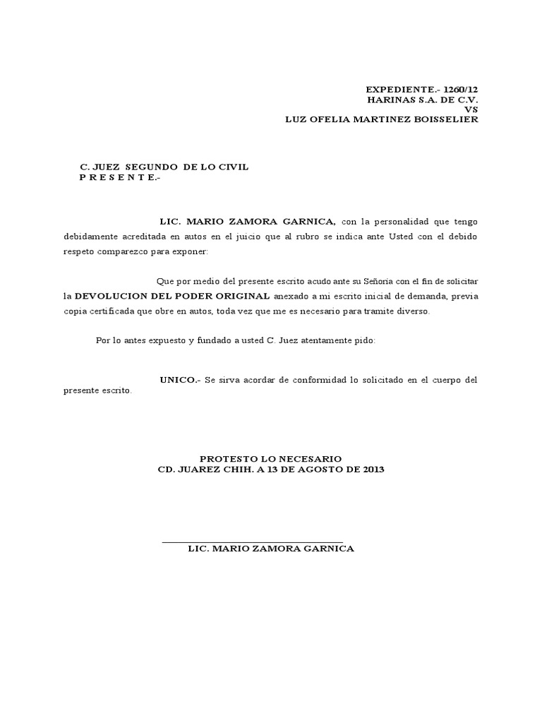 Devolucion de Poder | PDF