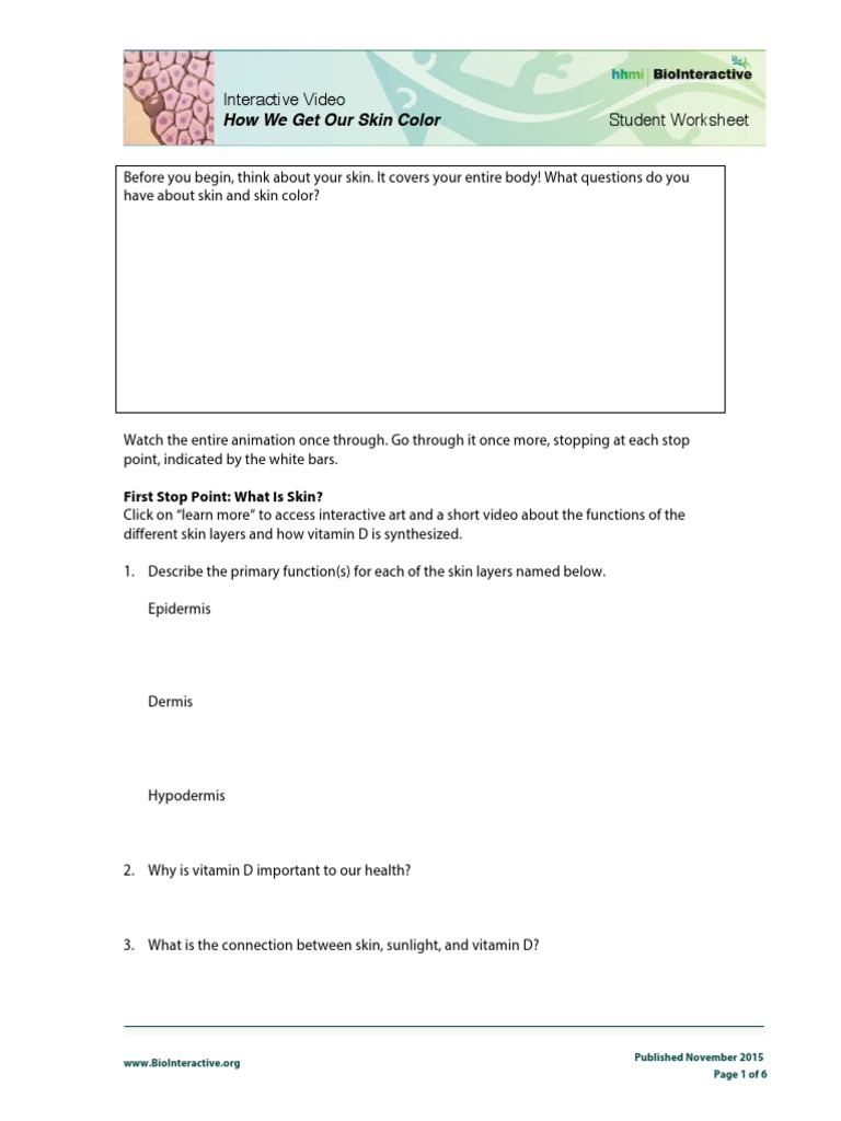 Student Worksheet - How We Get Our Skin Color | PDF | Human Skin Color ...