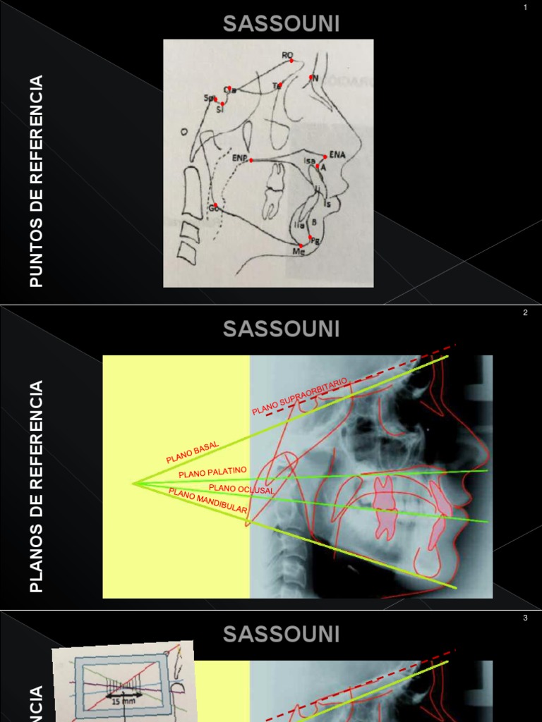 SASSOUNI | PDF | Naturaleza