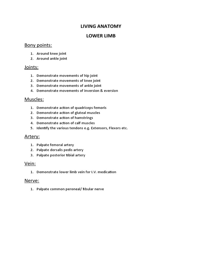 Living Anatomy Lower Limb | PDF