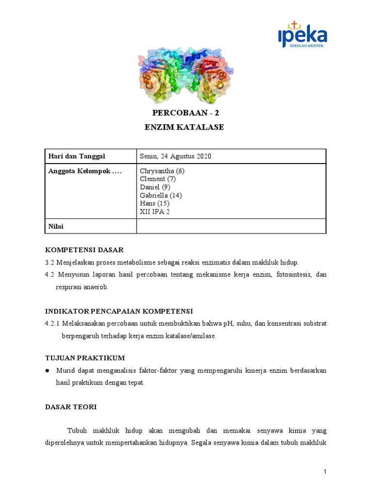 Percobaan Metabolisme (Enzim Katalase) | PDF