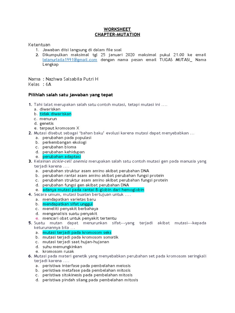 Bio Worksheet Mutasi | PDF