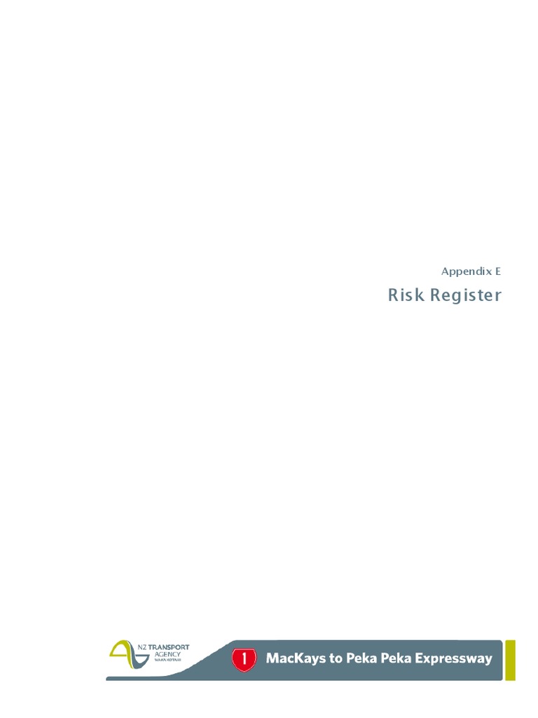 Sar Appendix e | PDF | Risk | Risk Management