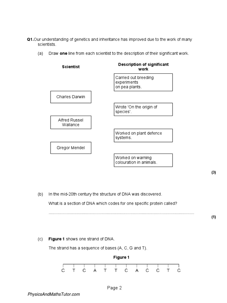 Understanding of Genetics & Evolution 1 QP | PDF | Influenza | Allele