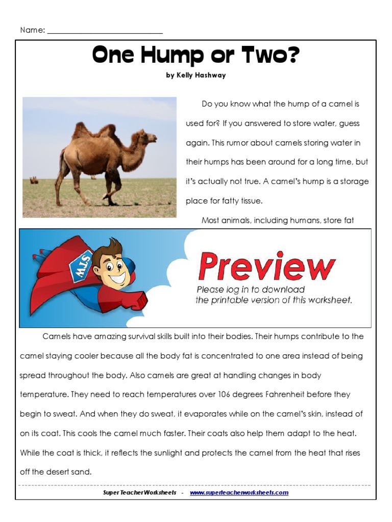 One Hump or Two?: by Kelly Hashway | PDF | Camel | Nature