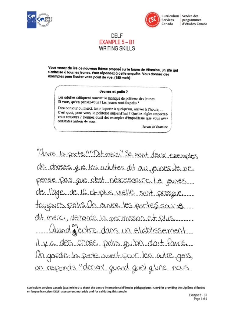 Example 5 - B1: Delf Writing Skills | PDF | Grammatical Tense | Syntax