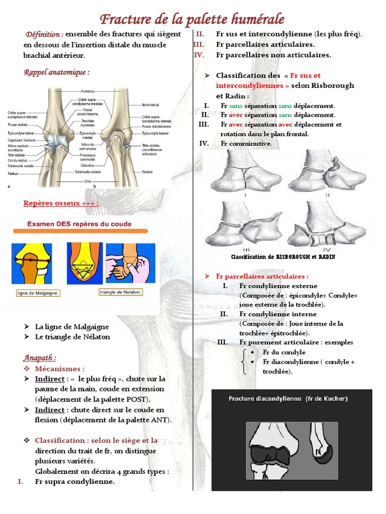 Fracture de La Palette Humérale | PDF | Coude | Articulation (anatomie)