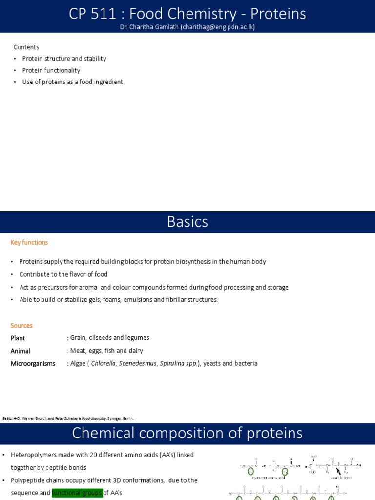 CP511 - Food Chemistry - Proteins - Lecture Note | PDF | Protein ...