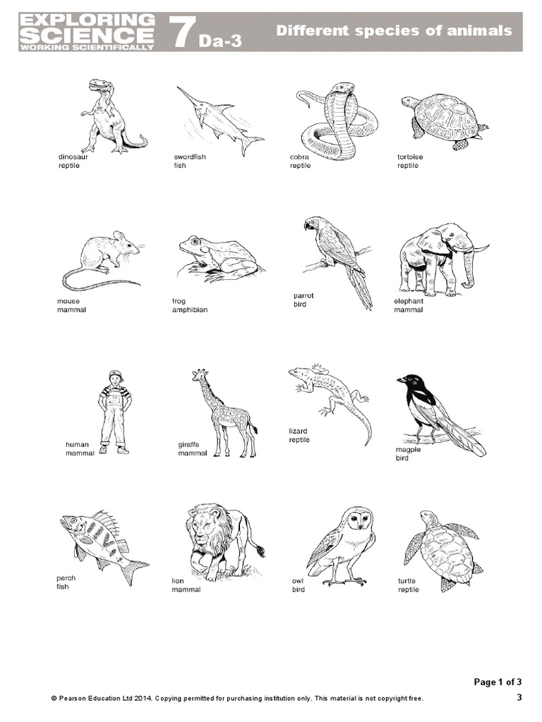 Different Species of Animals | PDF