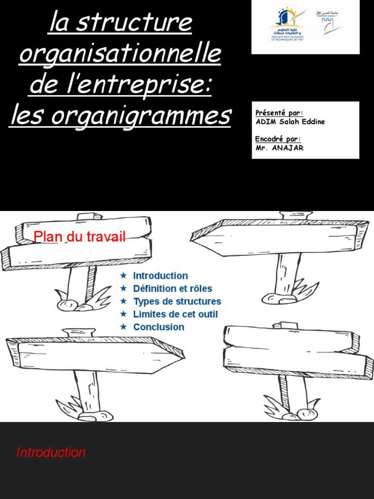 La Structure Organisationnelle de L'entreprise - Les Organigrammes | PDF