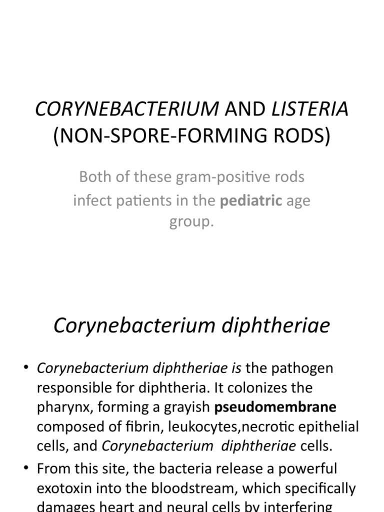 Corynebacterium and Listeria | PDF | Meningitis | Microbiology