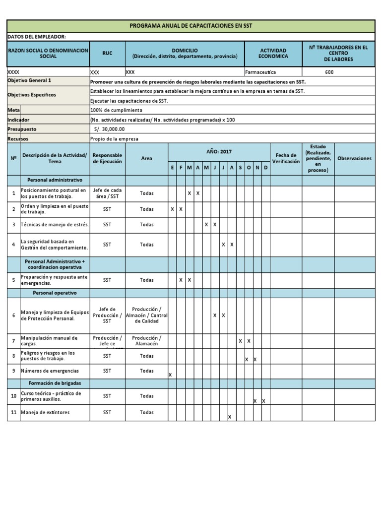 FORMATO Programa Anual de SST RM 050-2013 | PDF | Seguridad y salud ocupacional | Presupuesto