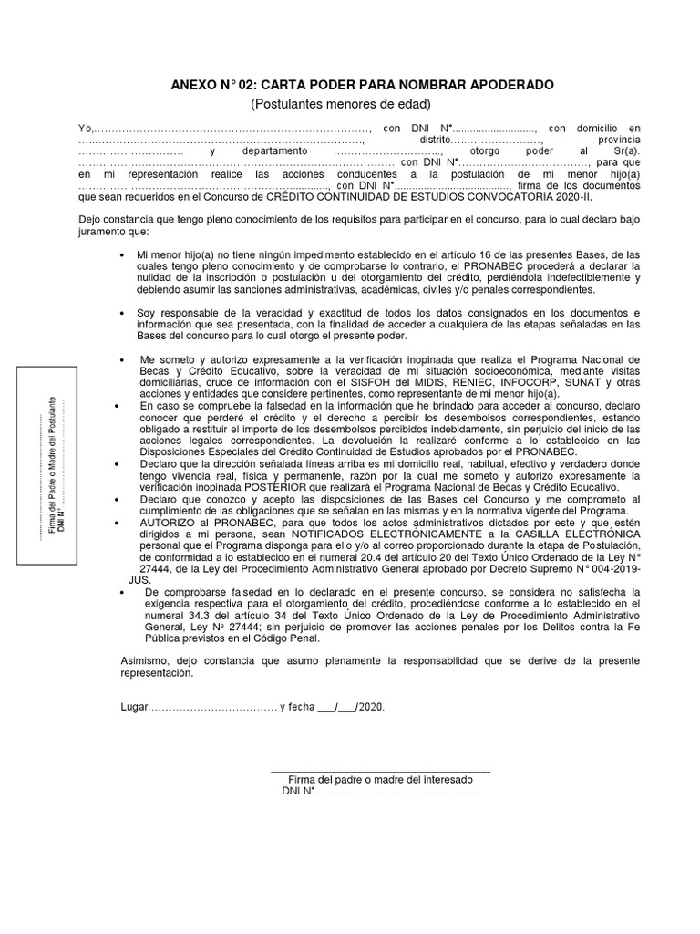 Anexo #02: Carta Poder para Nombrar Apoderado | PDF | Justicia | Crimen y violencia