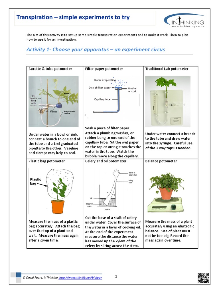 Transpiration - Simple Experiments To Try: Activity 1-Choose Your ...