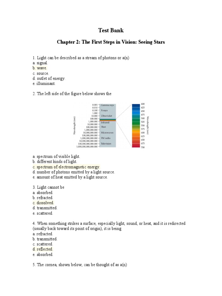 Chapter 2: The First Steps in Vision: Seeing Stars: Test Bank | PDF ...