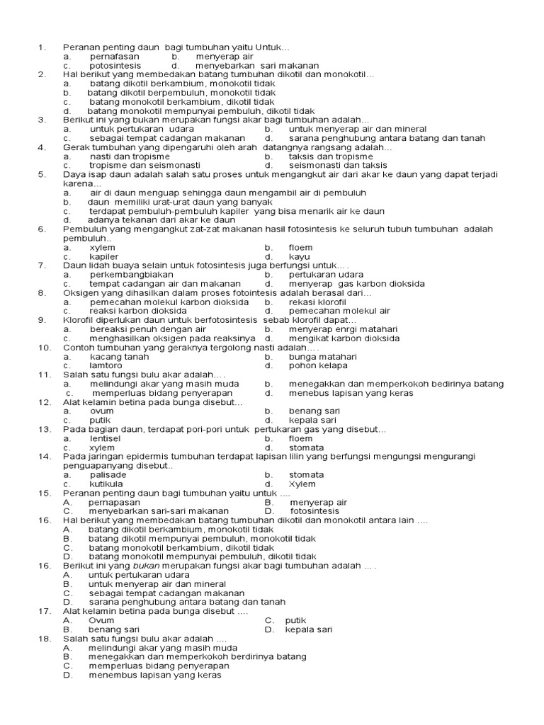 Soal Akar Batang Daun | PDF