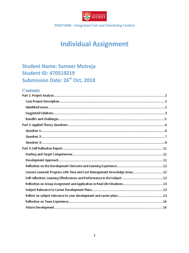 PMGT5889-Individual Assignment Version 2 | PDF | Project Management ...
