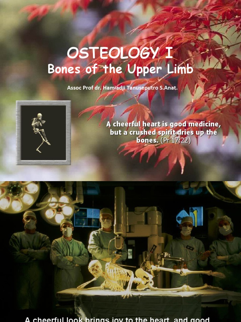 Osteology I: Bones of The Upper Limb | PDF | Joints | Skeletal System