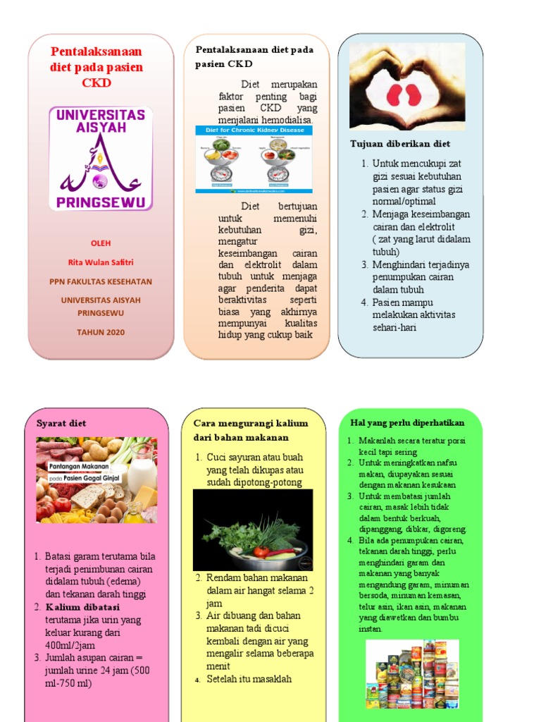 Leaflet Diit CKD | PDF