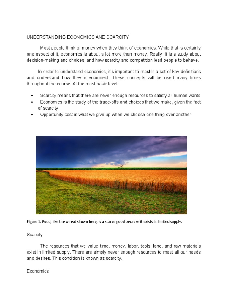 Economics and Scarcity Basics | PDF | Resource | Economics