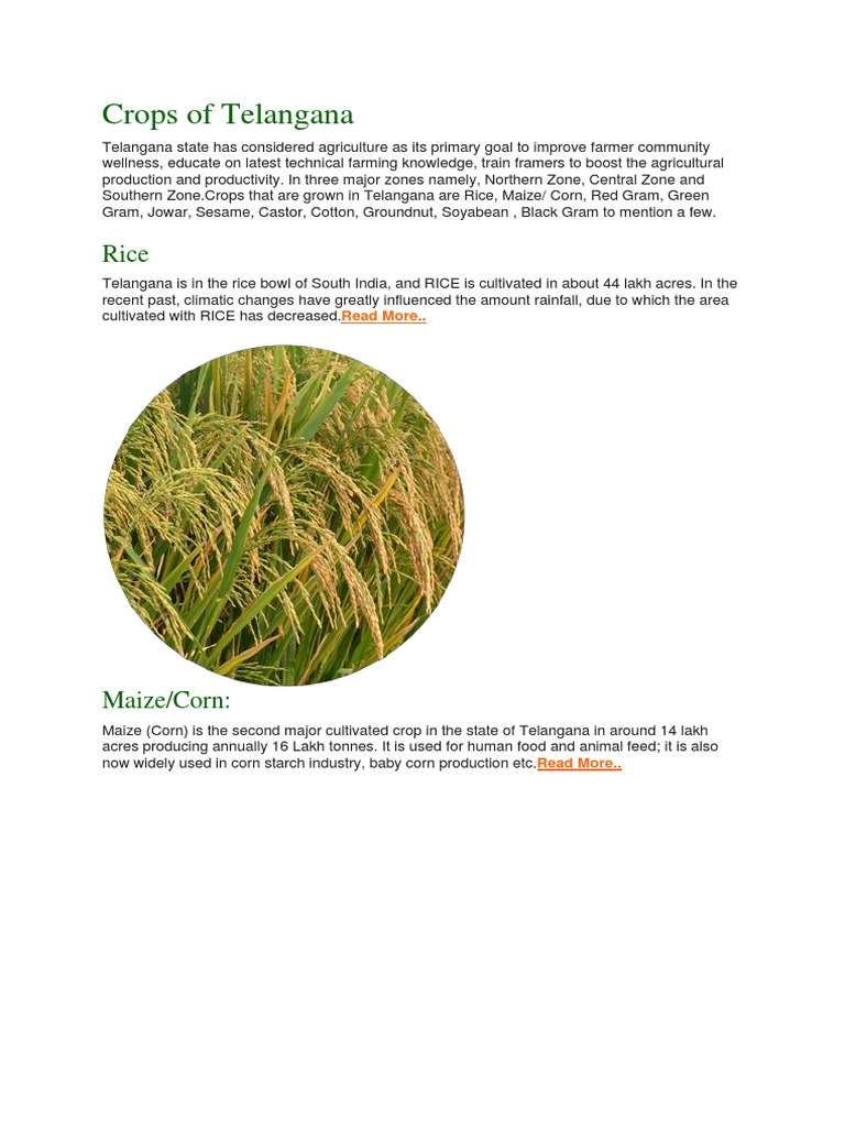 Crops of Telangana: Read More. | PDF | Legume | Agriculture