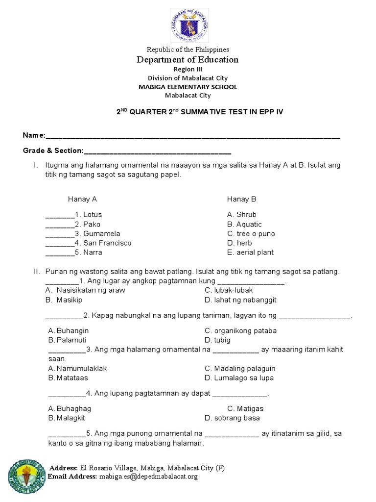 2ND QUARTER 2nd SUMMATIVE TEST IN EPP IV | PDF