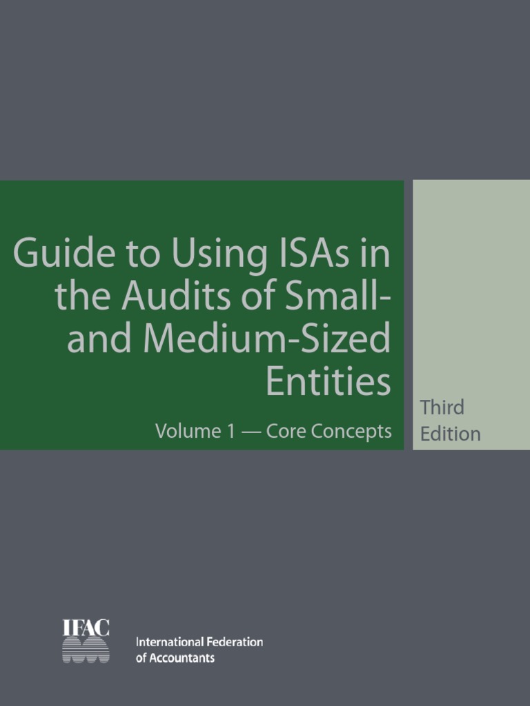 ISA Audit Guide Volume 1 3rd Edition FINAL | PDF | Financial Audit | Audit