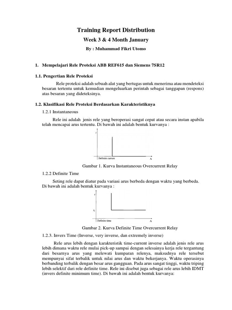 Rele Proteksi ABB & Siemens | PDF | Teknologi & Rekayasa