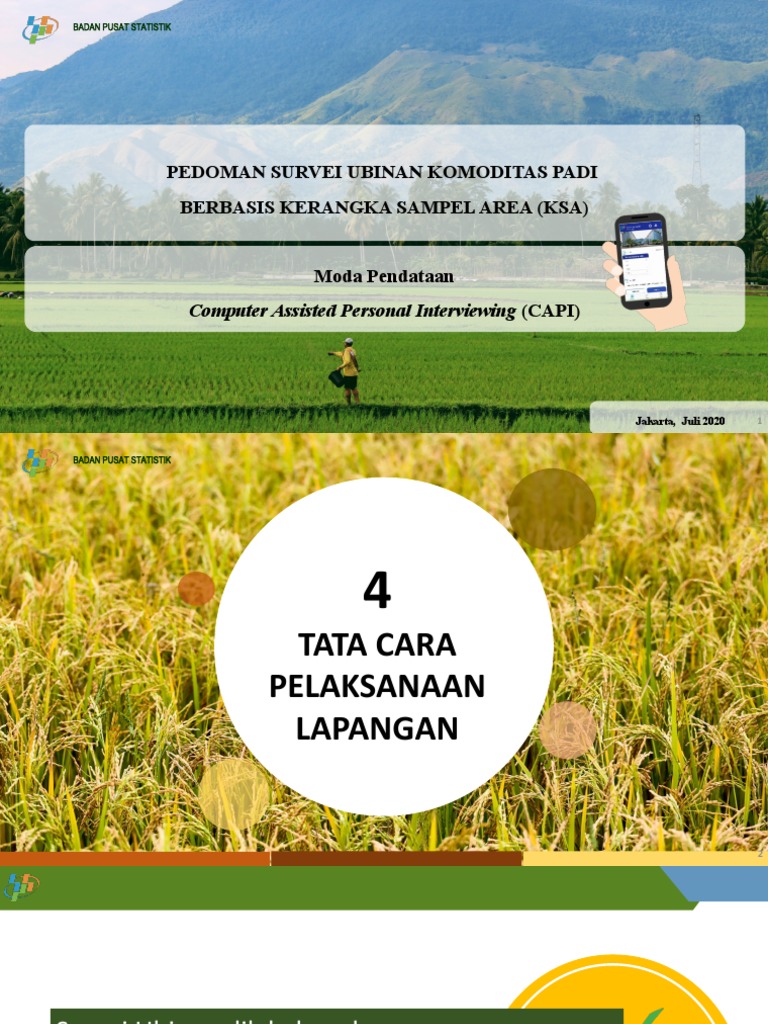 Tata Cara Lapangan Ubinan Padi | PDF