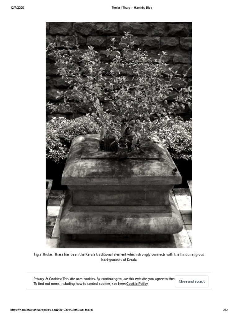 Thulasi Thara - Hamid's Blog | PDF