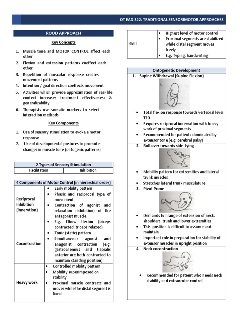 Rood Approach: Ot Ead 322: Traditional Sensorimotor Approaches | PDF ...