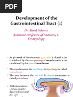 Development of Gastrointestinal System | PDF | Gastrointestinal Tract ...