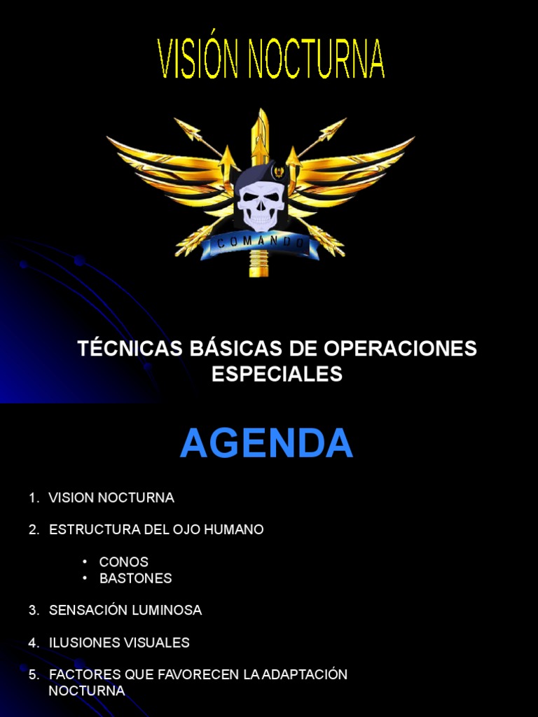 Función de los Bastones en Visión Nocturna | PDF | Percepción visual ...