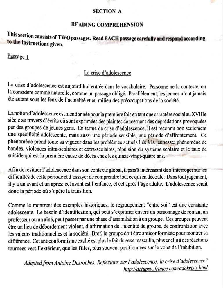 French Unit Test on Adolescent Issues | PDF | Adolescence | Human ...