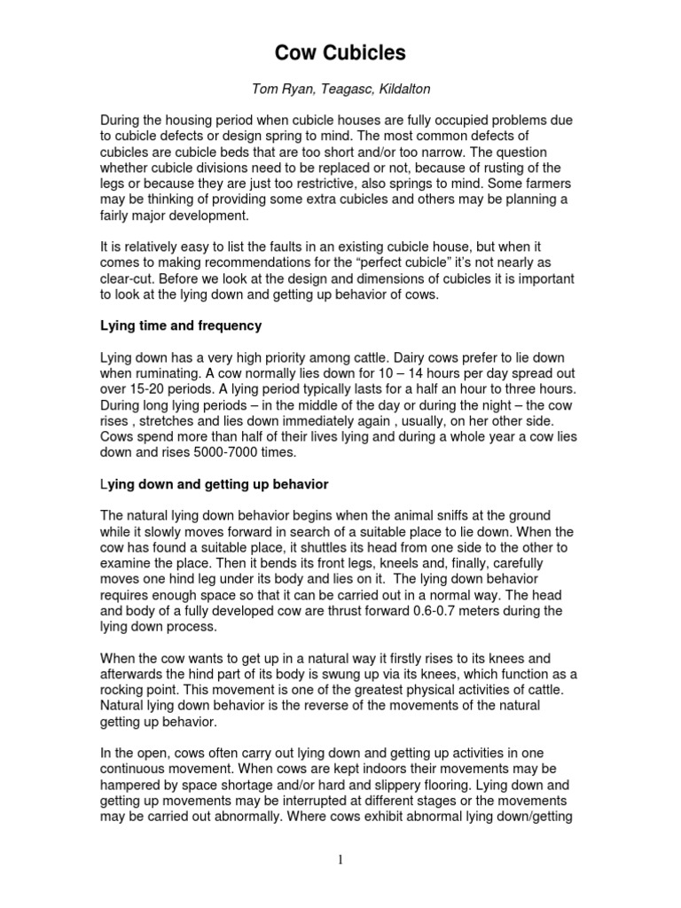 Cow Cubicles: Tom Ryan, Teagasc, Kildalton | PDF | Dairy Cattle | Cattle