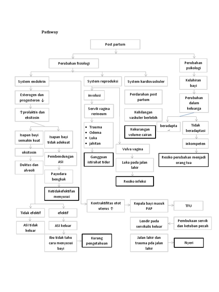 Pathway Post Partum | PDF